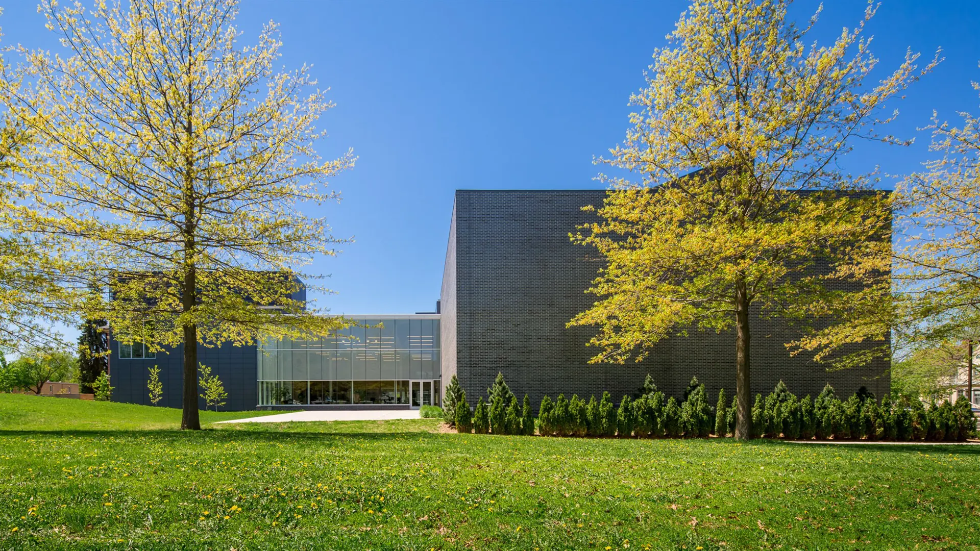 Carleton College Weitz Center for Creativity | MSR Design